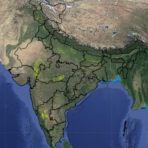 Crop Map | Crop Production Map | Kharif Crop Information